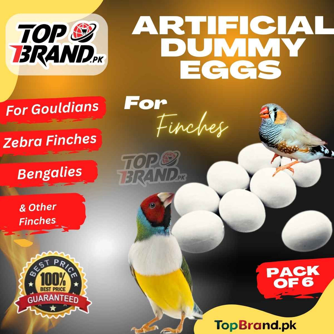 Pack of 6 Artificial | Dummy Plastic Eggs for Finches (Light Weight Eg ...