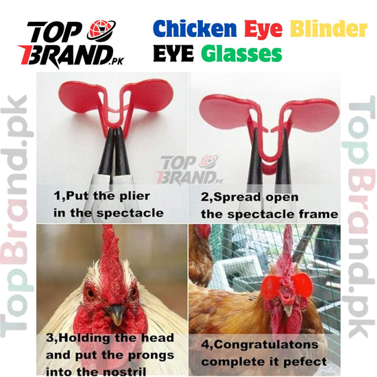 Chicken Eye Blinder | Chicken Eye Glasses– Top Brand