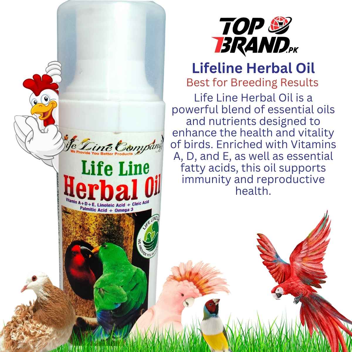 Life Line Herbal Oil (Breeding Oil)– Top Brand